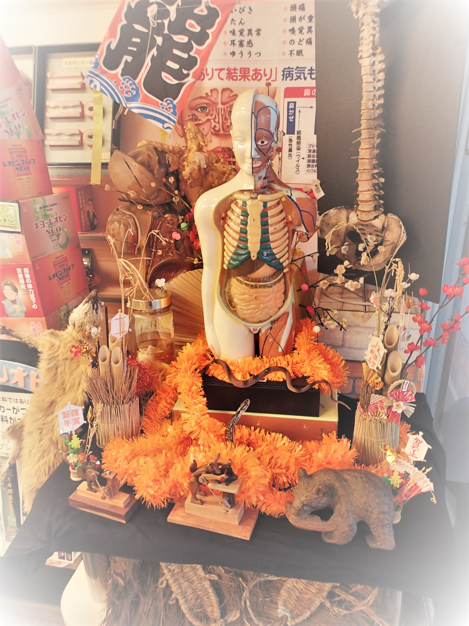 株式会社 扇長薬局 ｜ 株式会社 大和生物研究所